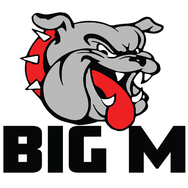 Big M Transportaion Case Study - RenovoData